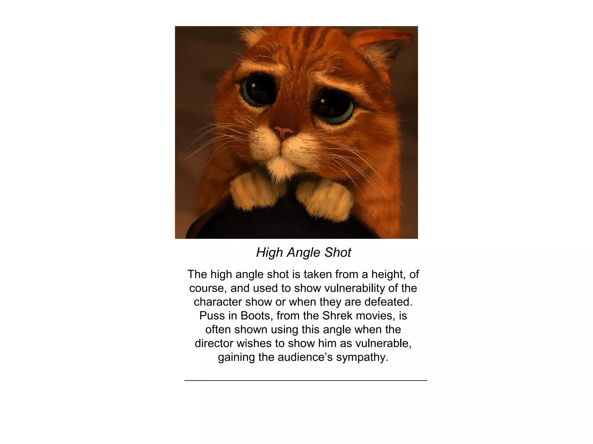 Camera shots, angles and movements | PPT