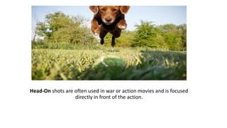 Camera terminology | PPT