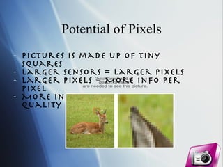 Camera Types | PPT | Cameras and Camcorders | Consumer Electronics