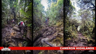 Cameron Highlands Activities | PPT