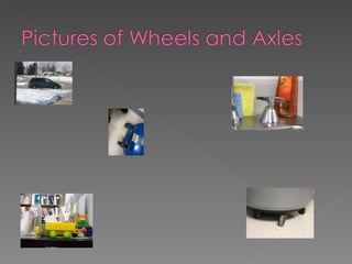 Cameron`s presentation | PPT