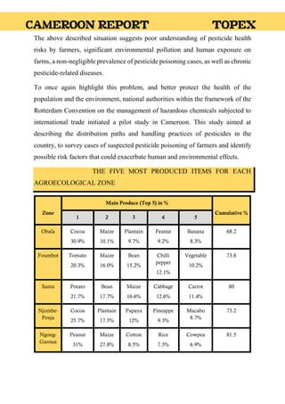 Cameroon Agri sector | PDF