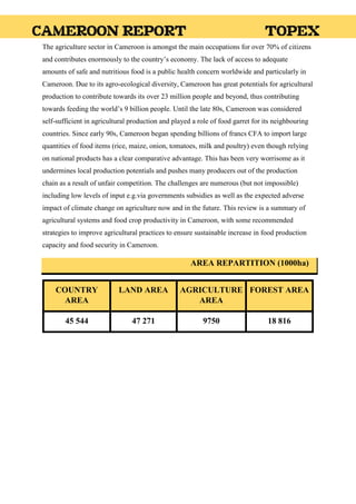 Cameroon Agri sector | PDF