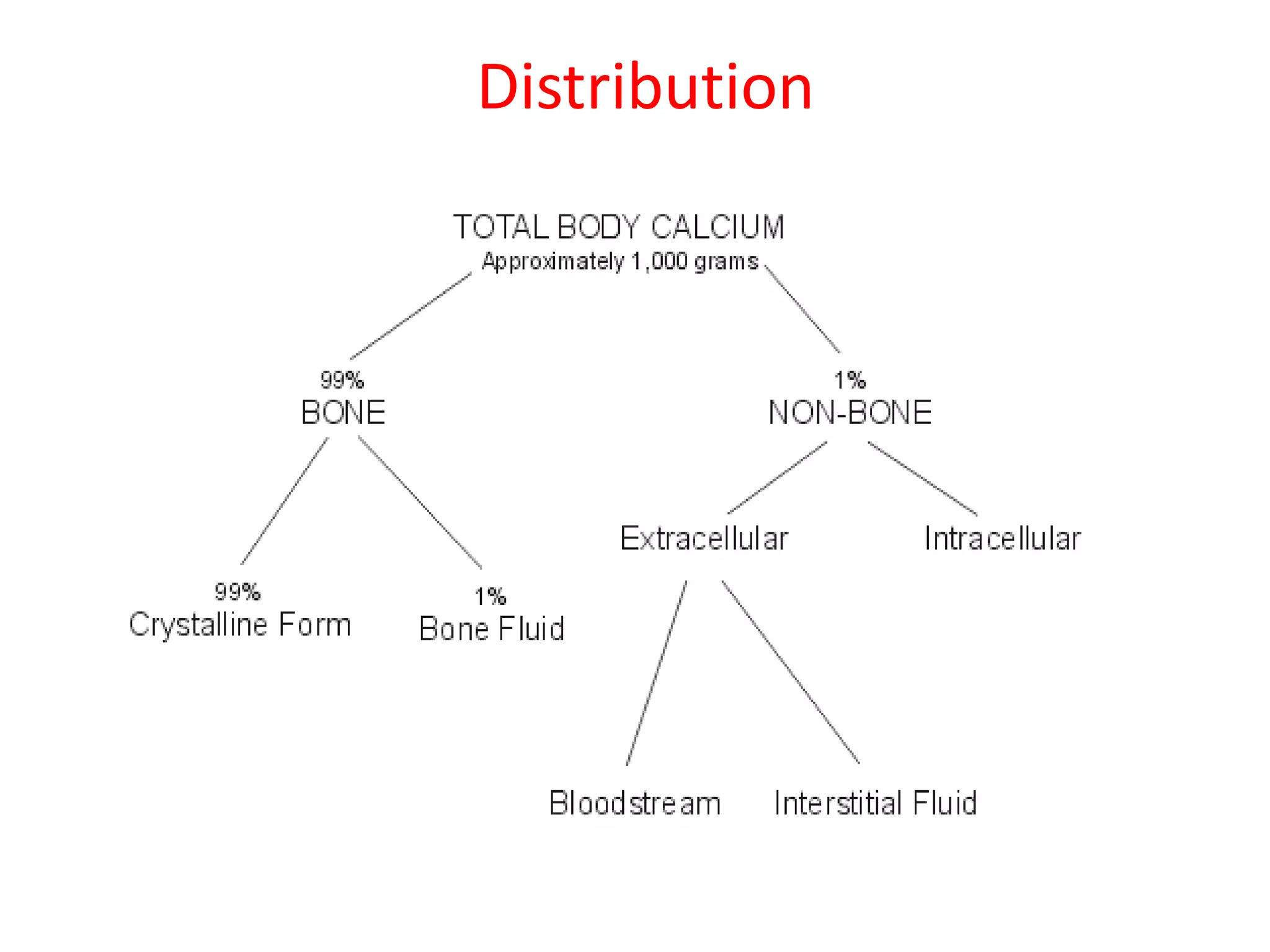 Ca metabolism and bone physiology | PPT