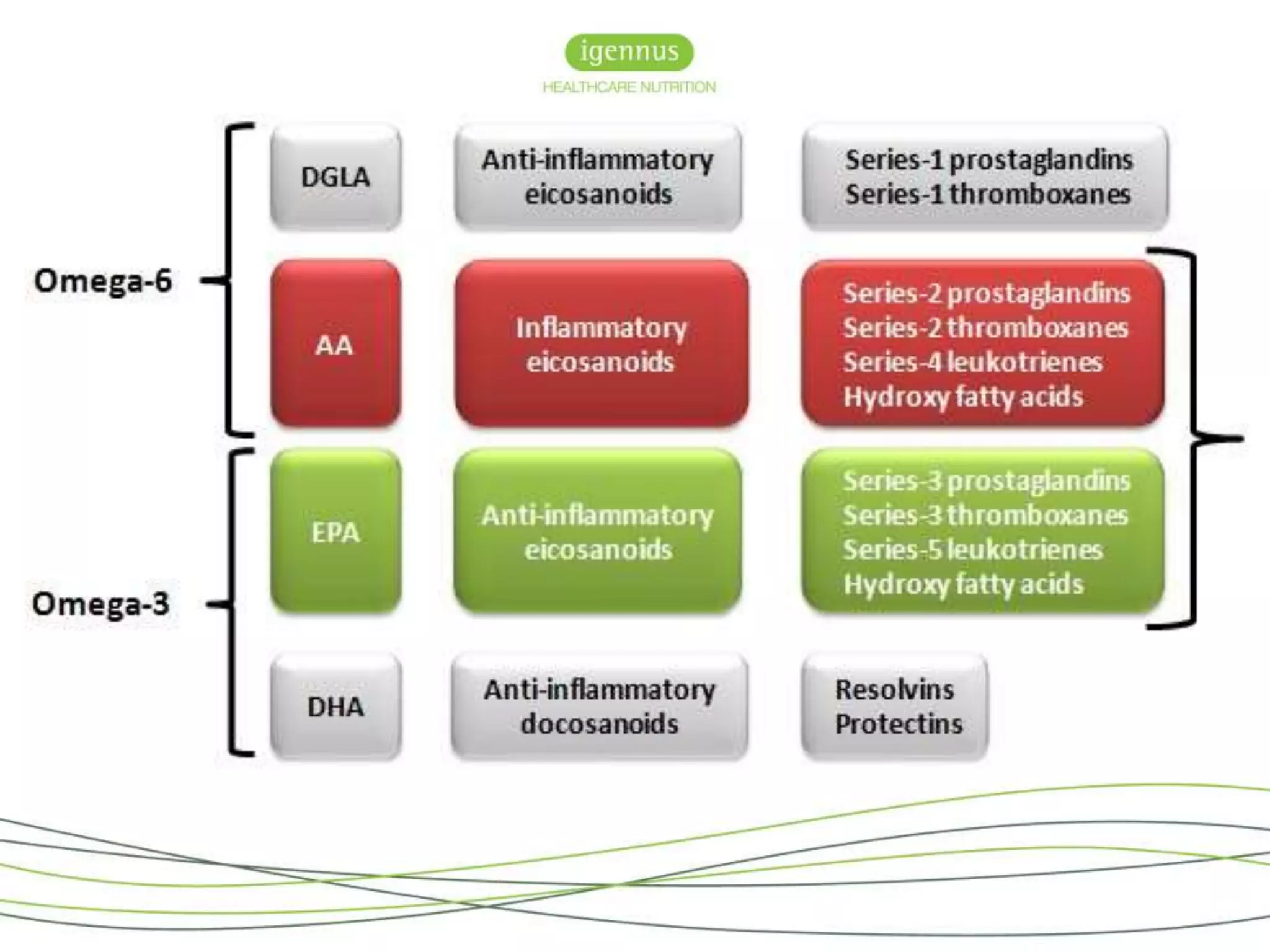 Managing Chronic Inflammation | PPTX