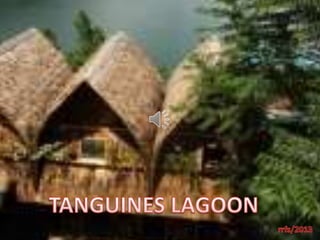 Camiguin Regina Rose Sison | PPT