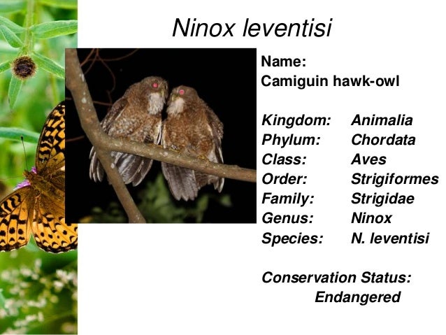 Biodiversity in Camiguin.pptx