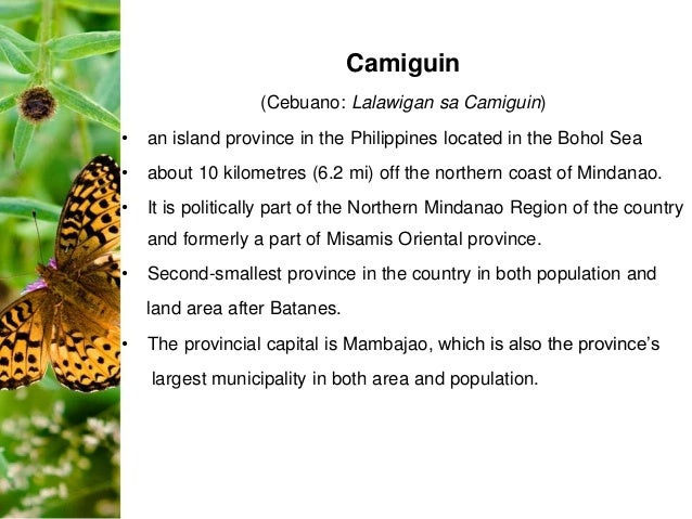 Biodiversity in Camiguin.pptx