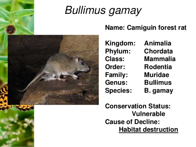 Biodiversity in Camiguin.pptx