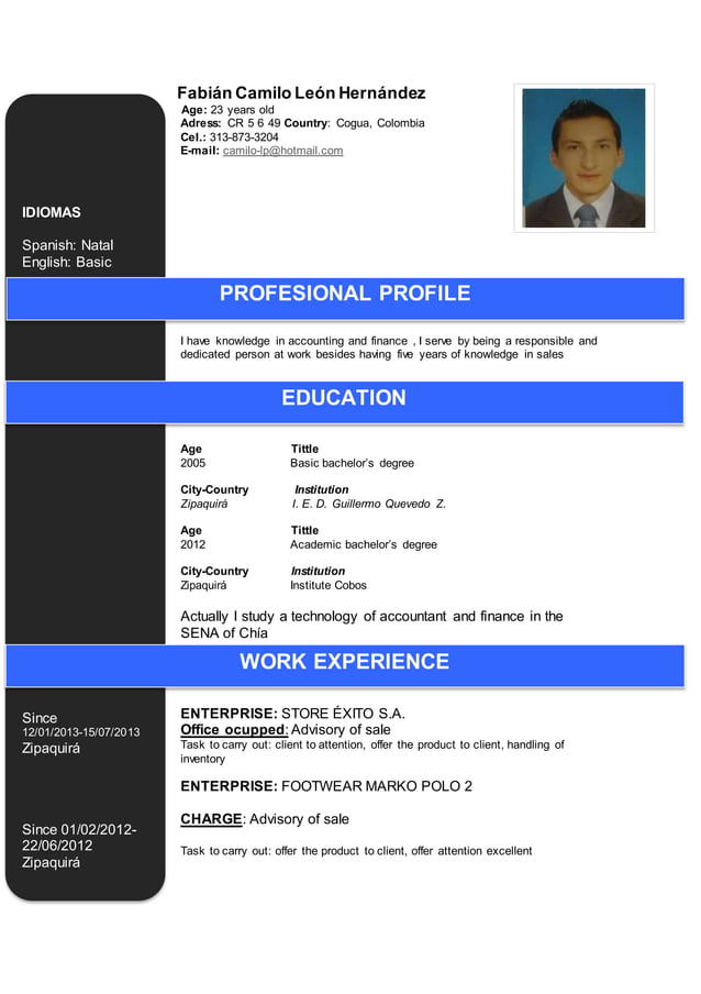 CV FORM | PDF
