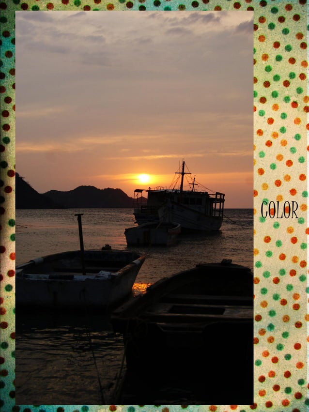 Camilo ruiz book fotografico | PDF