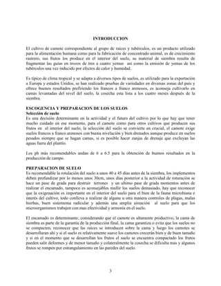 Camote | PDF