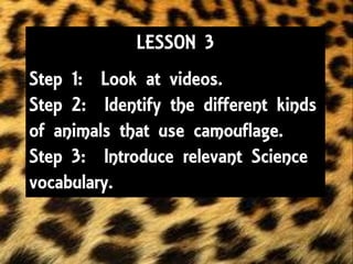 Camouflage | PPT