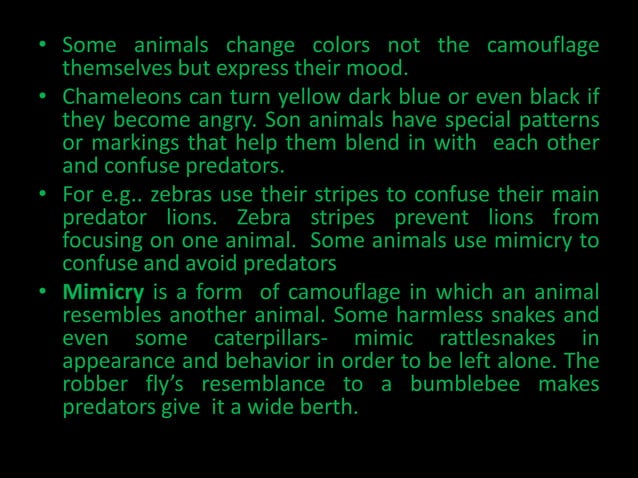 Camouflage | PPTX | Reptiles | Pets