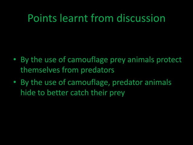 Camouflage | PPTX | Reptiles | Pets