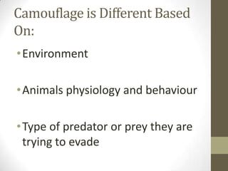 Camouflage and mimicry evolution power point | PPTX