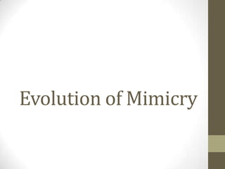 Camouflage and mimicry evolution power point | PPTX