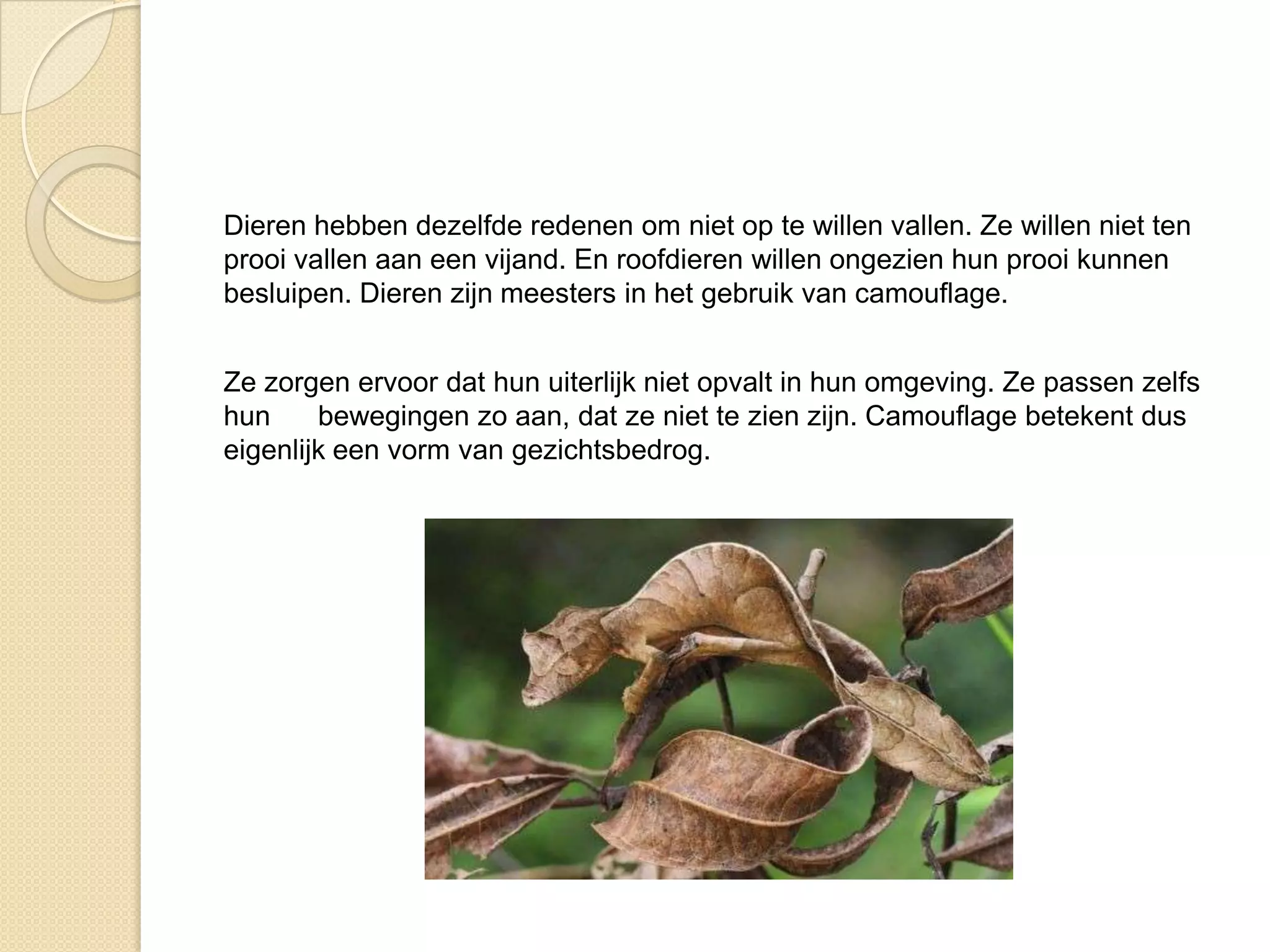 Camouflage bij dieren | PPTX