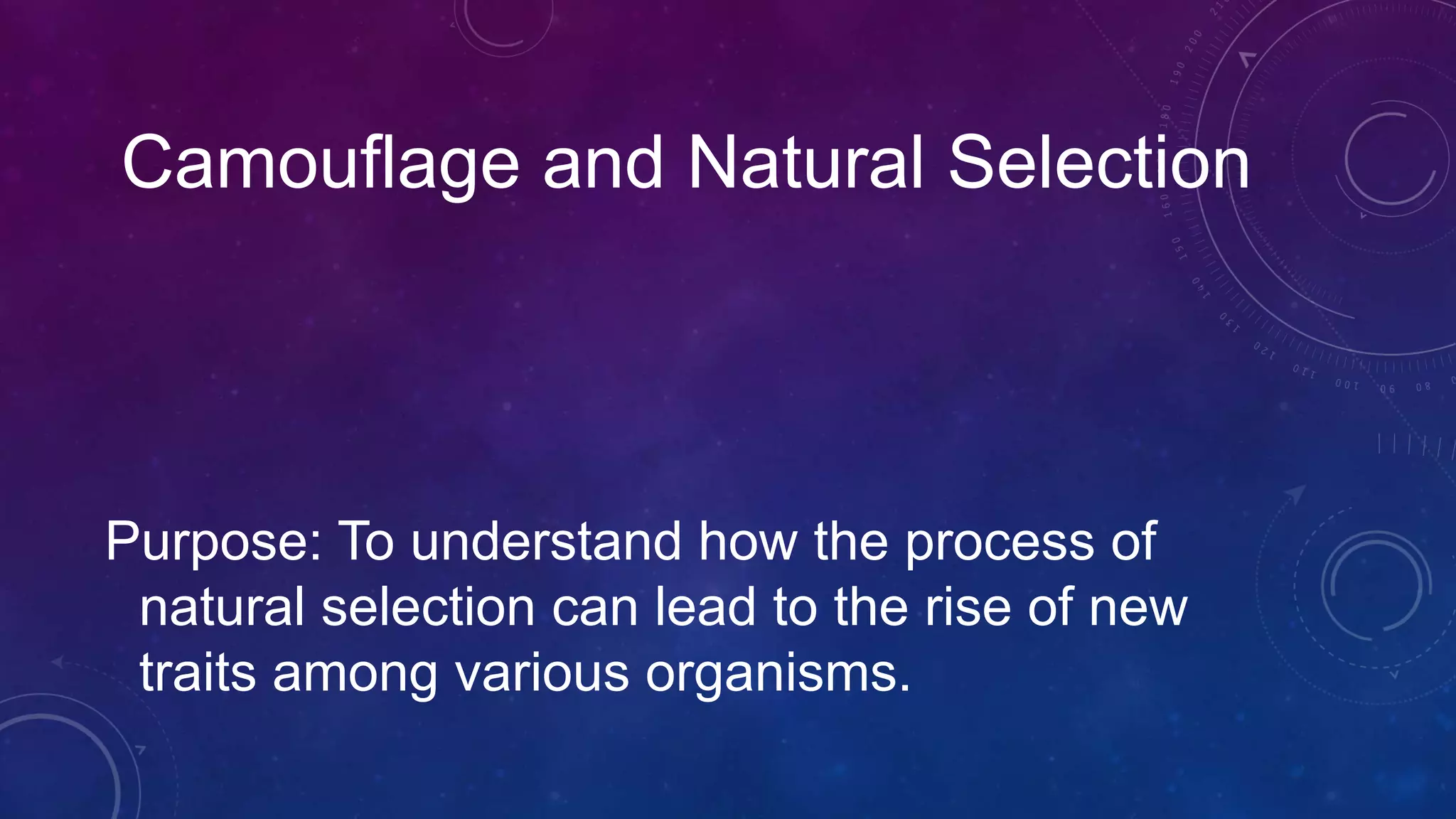 Camouflage natrual selection | PPTX