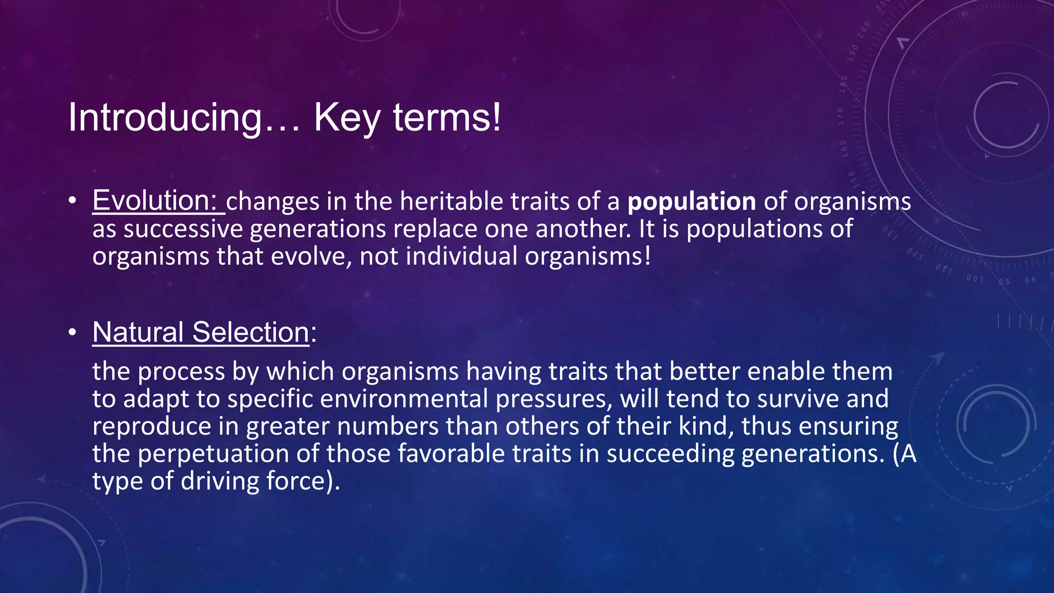 Camouflage natrual selection | PPTX