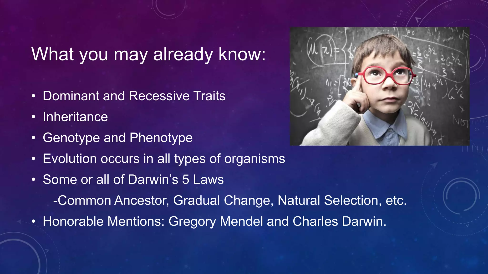 Camouflage natrual selection | PPTX