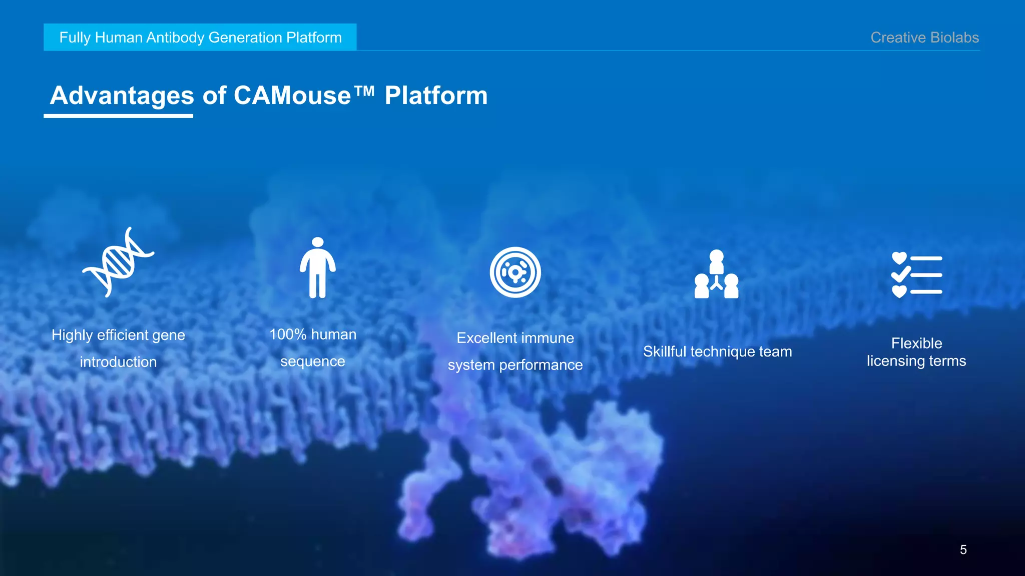 Creative Biolabs-CAMouse™-Fully Human Antibody Generation Platform | PPT