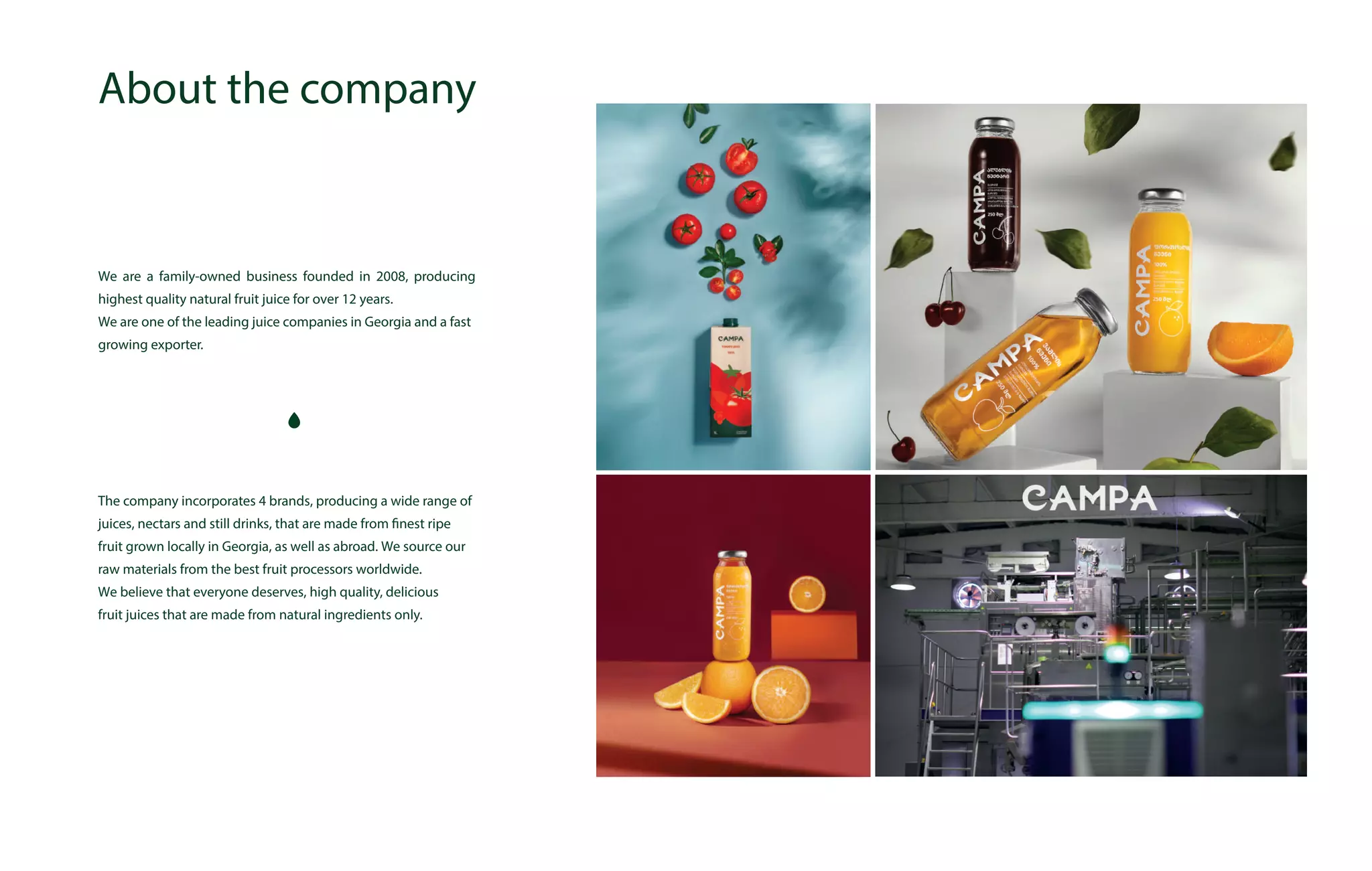 CAMPA - Presentation.pdf