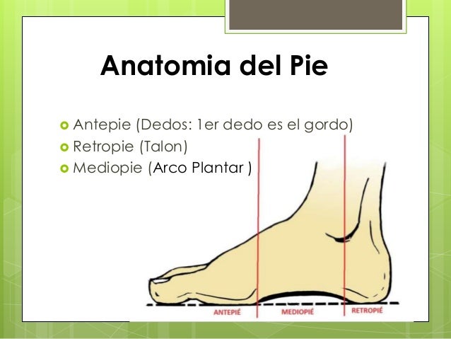 Podologia - Información para pacientes
