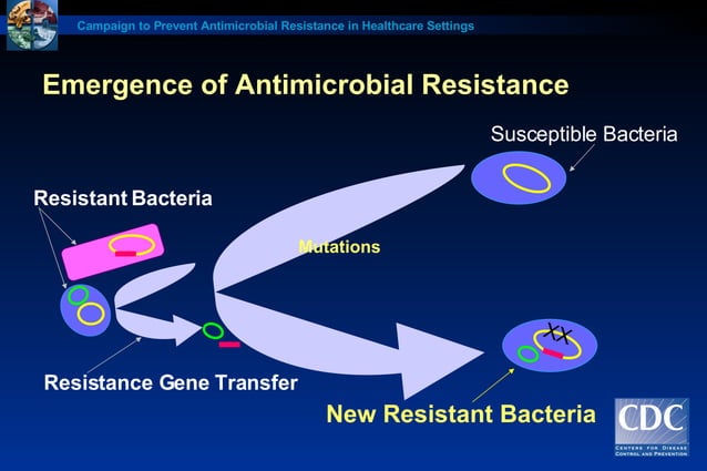 Campaign to prevent antimicrobial resistance | PPT