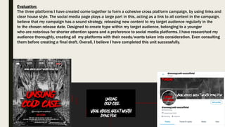 Campaign planning final pwp | PPTX