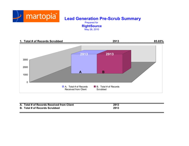 Sample Lead Generation Report | XLS