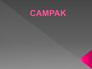 Campak | PPT