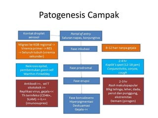 Campak PPT TROPIS.pdf