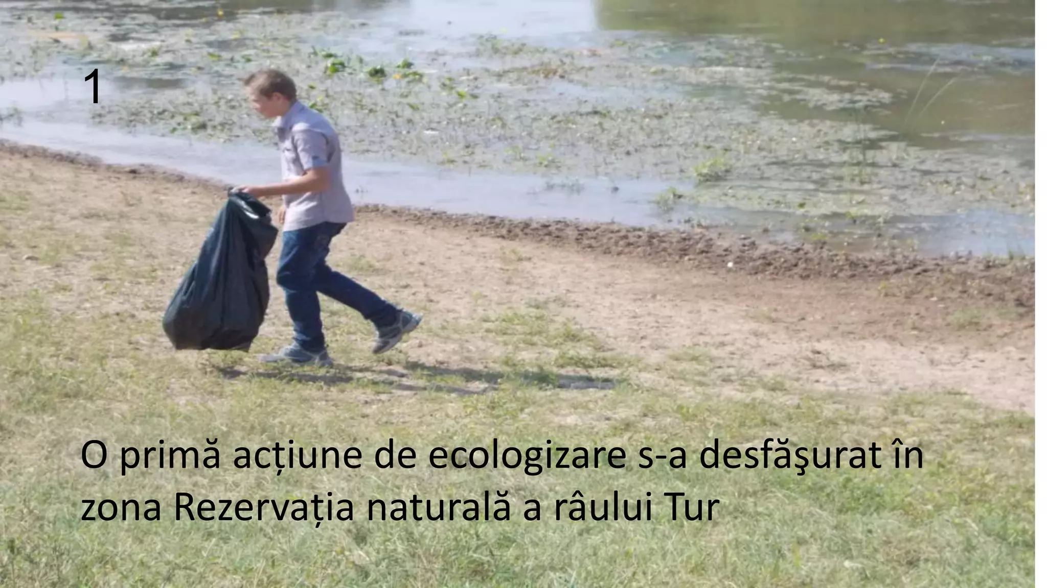 Campanii de ecologizare | PPTX