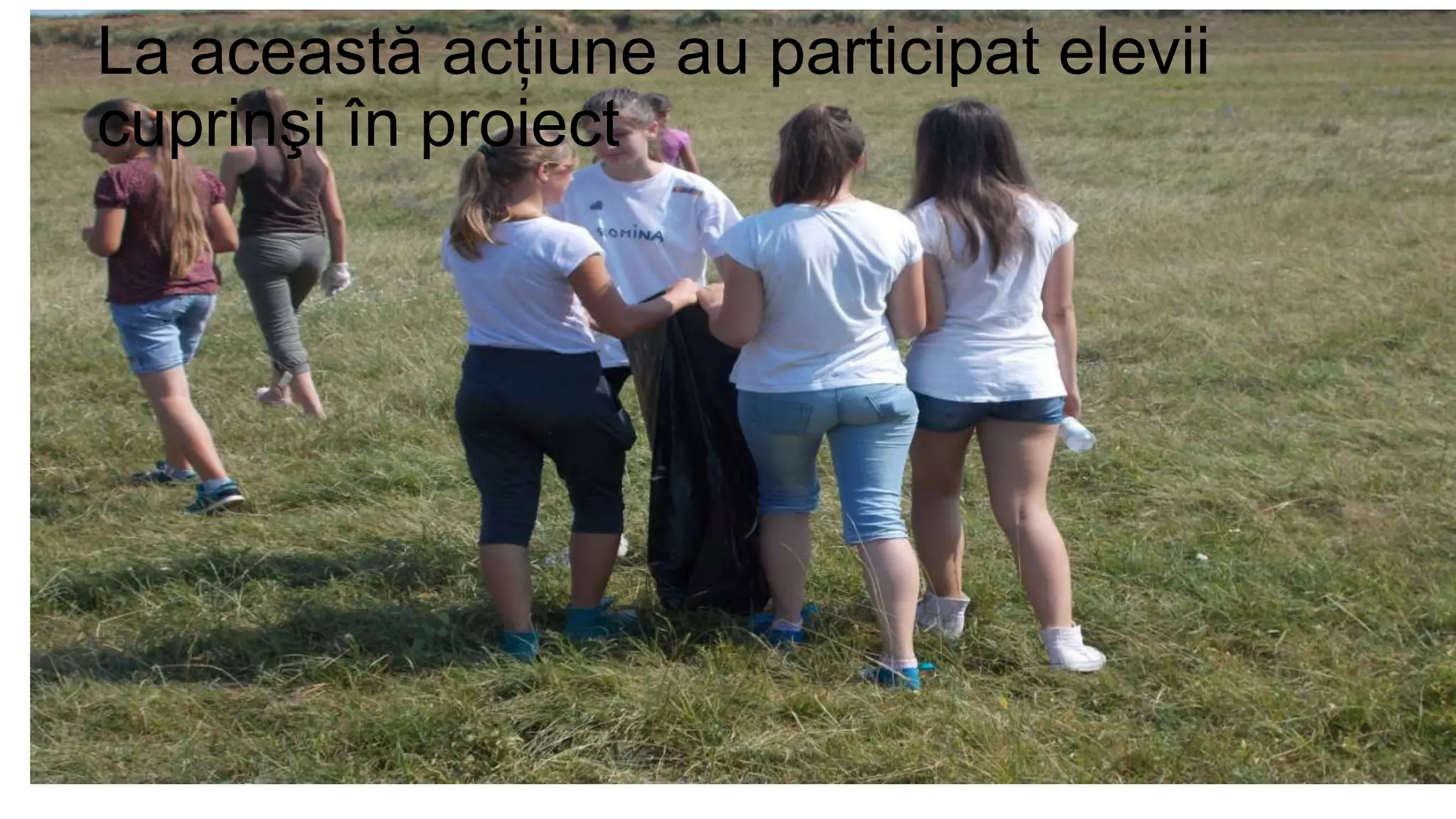 Campanii de ecologizare | PPTX