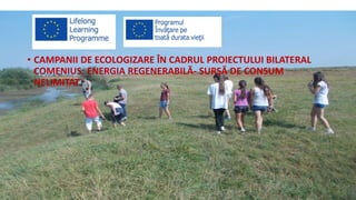 Campanii de ecologizare | PPTX