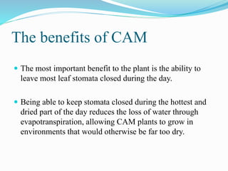 Cam pathway | PPTX | Chemistry | Science