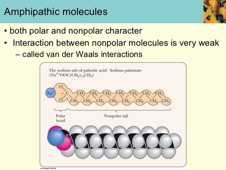 Campbell6e lecture ch2