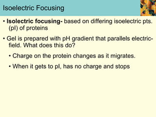 Campbell6e lecture ch5 | PPT