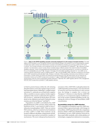C Amp Detection Methods In Hts | PDF