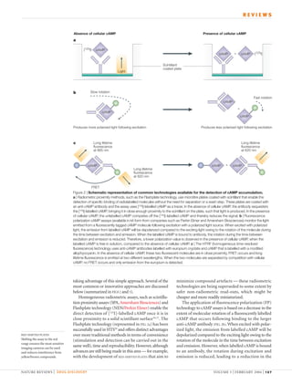 C Amp Detection Methods In Hts | PDF