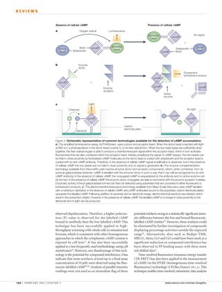 C Amp Detection Methods In Hts | PDF