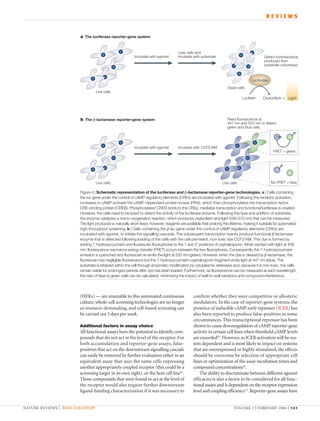 C Amp Detection Methods In Hts | PDF