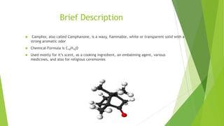 Camphor | PPTX