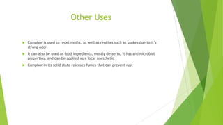 Camphor | PPTX