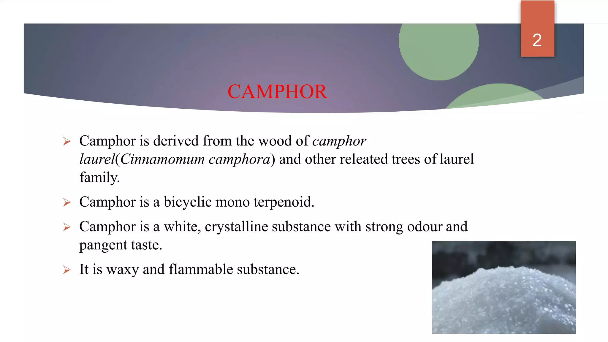 Structural Elucidation of Camphor | PPTX