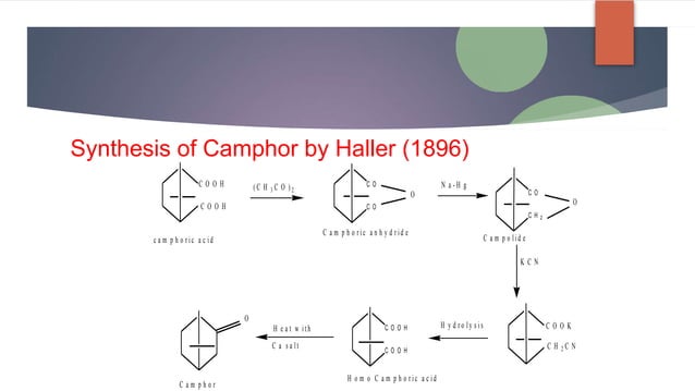 Structural Elucidation of Camphor | PPTX