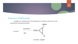 Structural Elucidation of Camphor | PPTX
