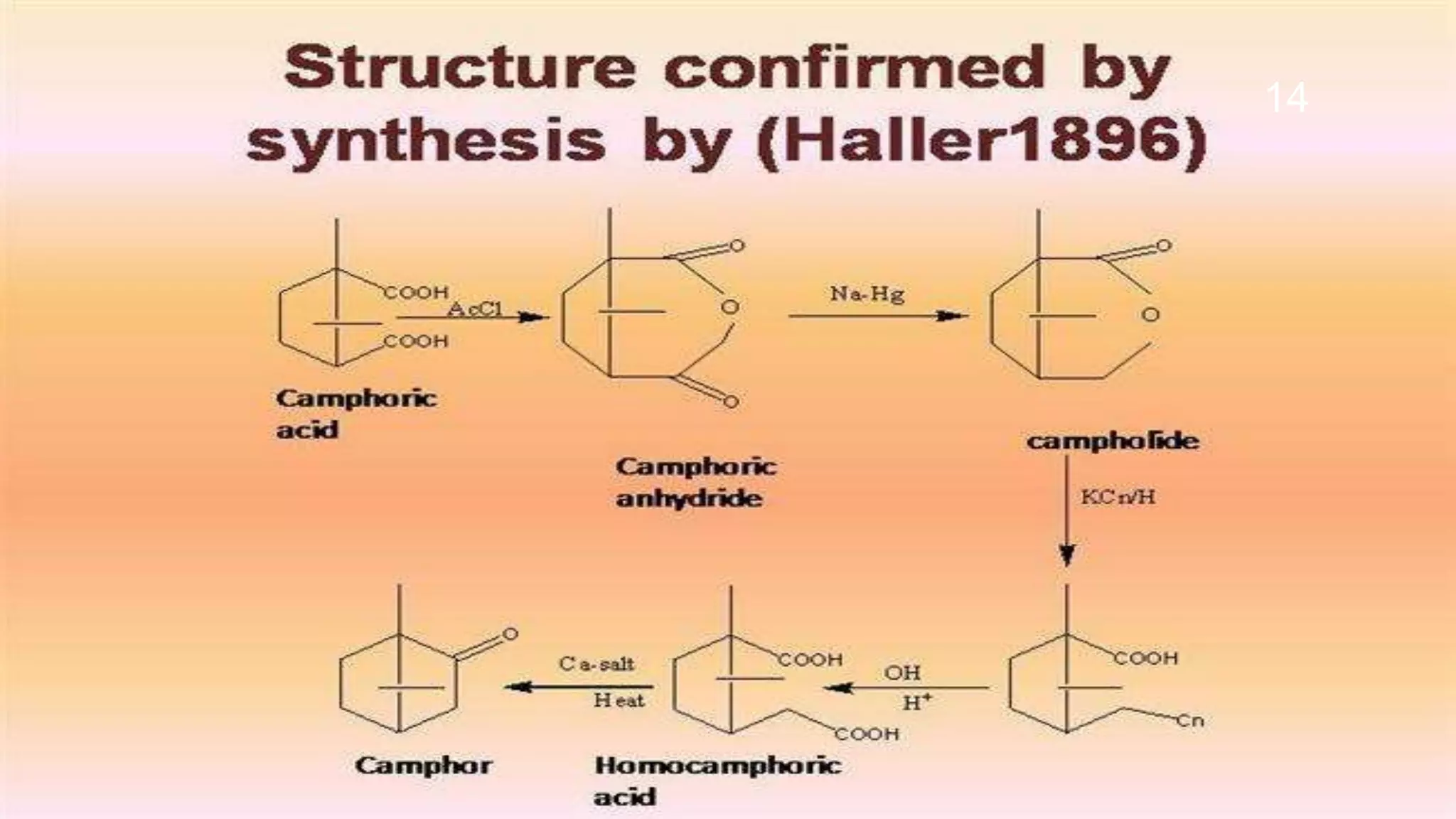 structural elucidation of camphor | PPTX