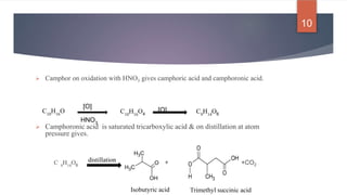 structural elucidation of camphor | PPTX